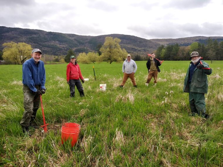 Thousands of trees planted to protect against flooding and boost clean ...