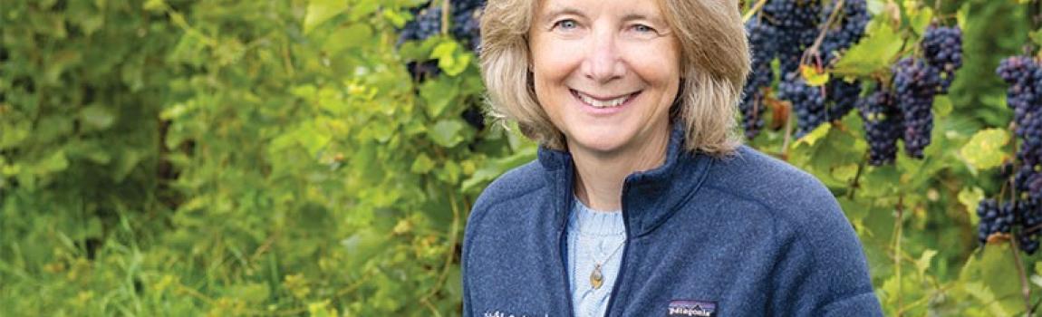 Current News | Vermont Business Magazine